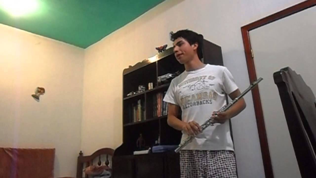 One man's dream - Yanni (Flute cover) - YouTube