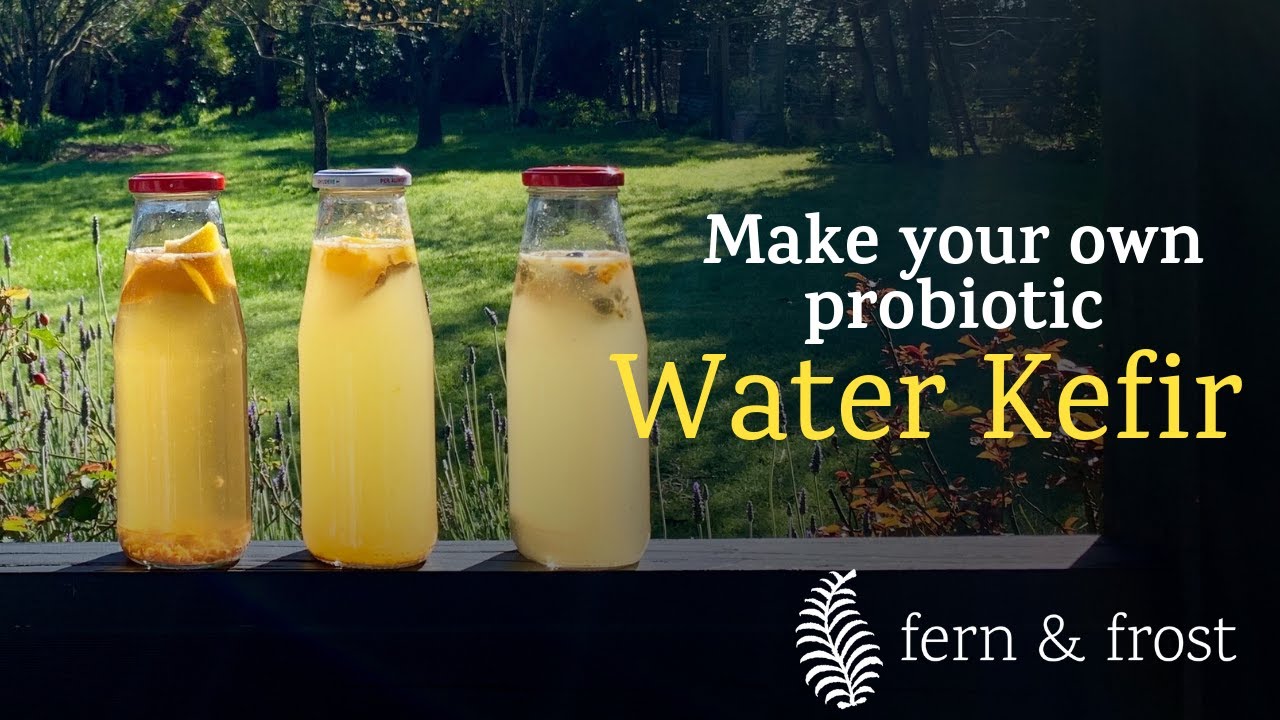 Make your own probiotic #WaterKefir - YouTube