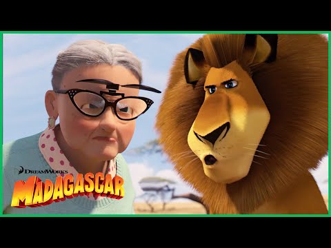 A Vovó Nana Encontra o Rival Dela... Outra Vez | DreamWorks Madagascar em Português
