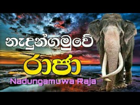නැදුන්ගමුවේ රාජා | Nadungamuwe Raja | Country Sri Lanka - YouTube
