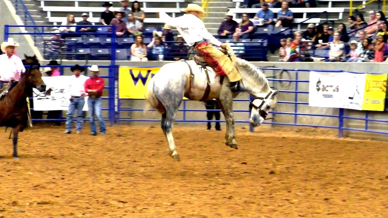 Ranch Broncs - 2019 (32nd) Coors Cowboy Club Ranch Rodeo (Friday) - YouTube