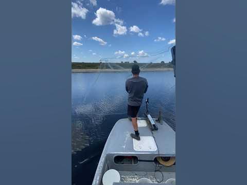 FISHING AROUND ALLIGATORS! #fishing #fish #yt #ytshorts #fisherman # ...