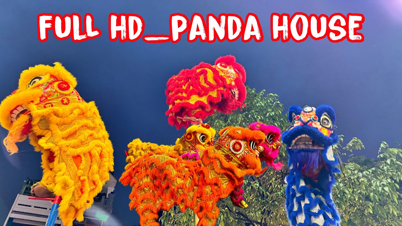 🟢Panda FaFa khai trương! Múa lân full show không che "Hằng Anh Đường ...