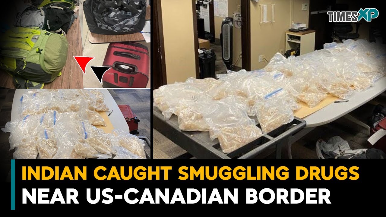 Indian man from Canada caught smuggling drugs near US-Canadian border ...