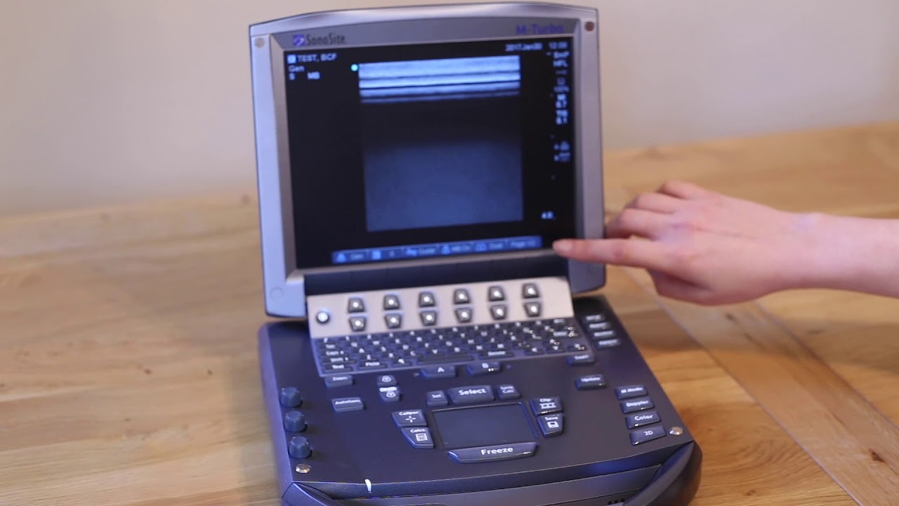 How to use the M-Turbo veterinary ultrasound scanner video 2 ...