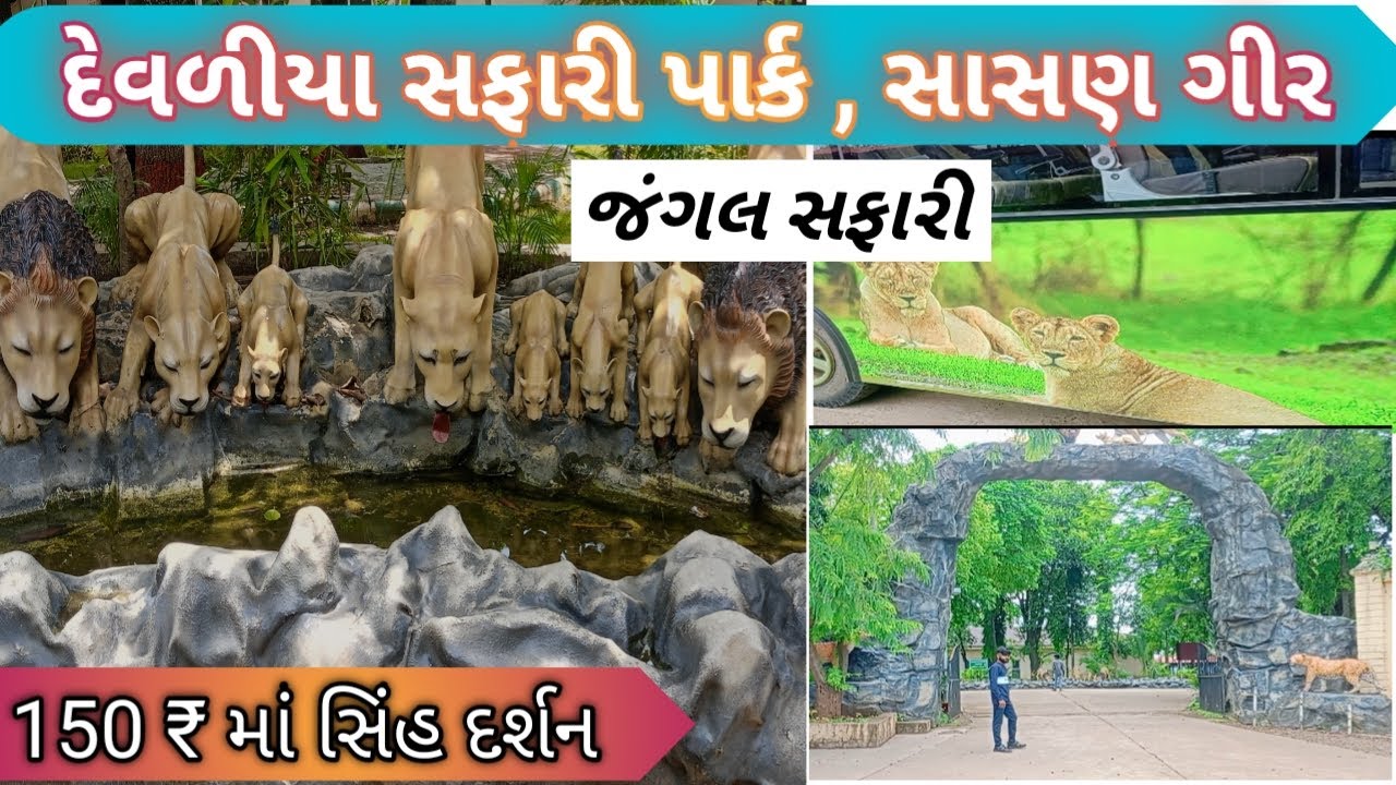 Sasan Gir Devaliya Park ll Jungal Safari ll Gir National Park ll Sasan ...