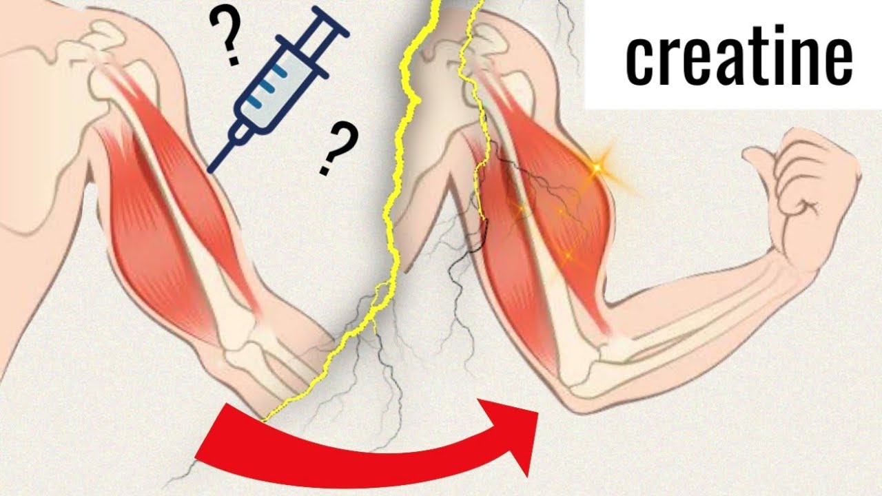 The Ultimate Guide to Creatine: How to Use, Effects, Side Effects and ...