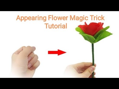 Appearing Flower Magic Trick Tutorial #shorts #games #how #comedy # ...