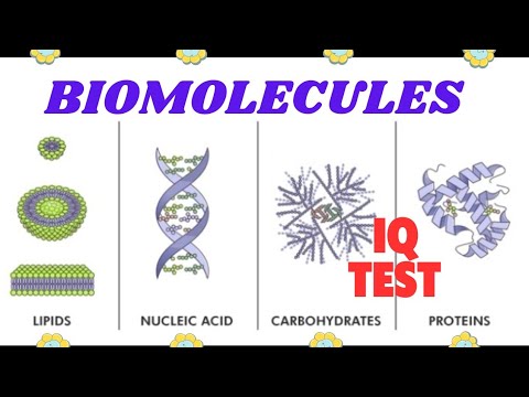 Which Biomolecule Is Responsible For Insulation And Energy Storage