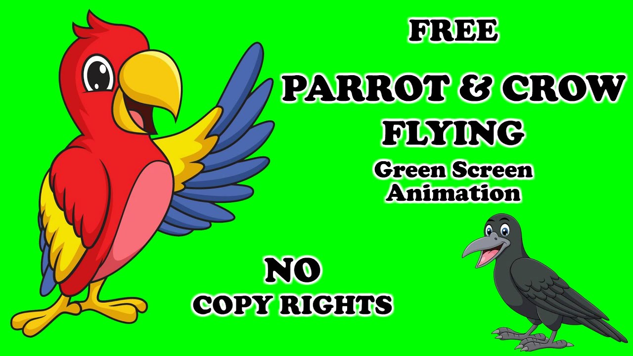 Parrot & Crow Flying Green Screen Animation #parrotflyingGreen Screen # ...