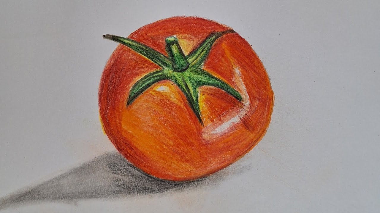 How to draw a tomato full video |#tomato #vegetables #realistic - YouTube