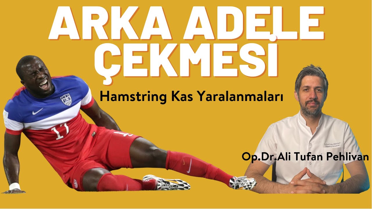 Arka Adele Çekmesi (Hamstring Kas Yırtığı) Nedir? Arka Adele Çekmesi ...