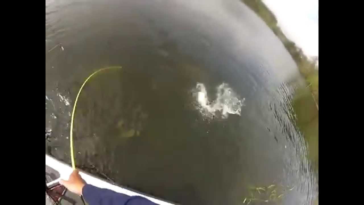 Bass fishing with turtle lure - YouTube