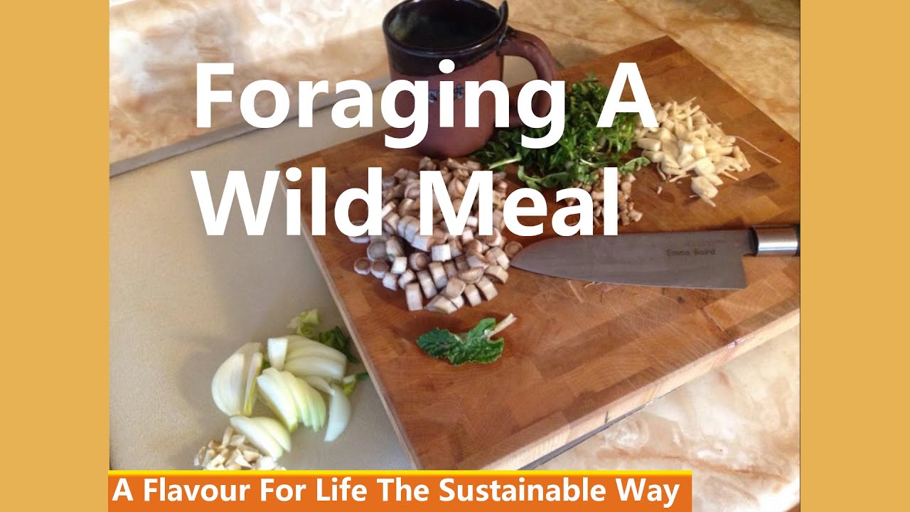 HOW to COOK with WILD FORAGED FOOD, WILD CARROTS, DANDELIONS and ...