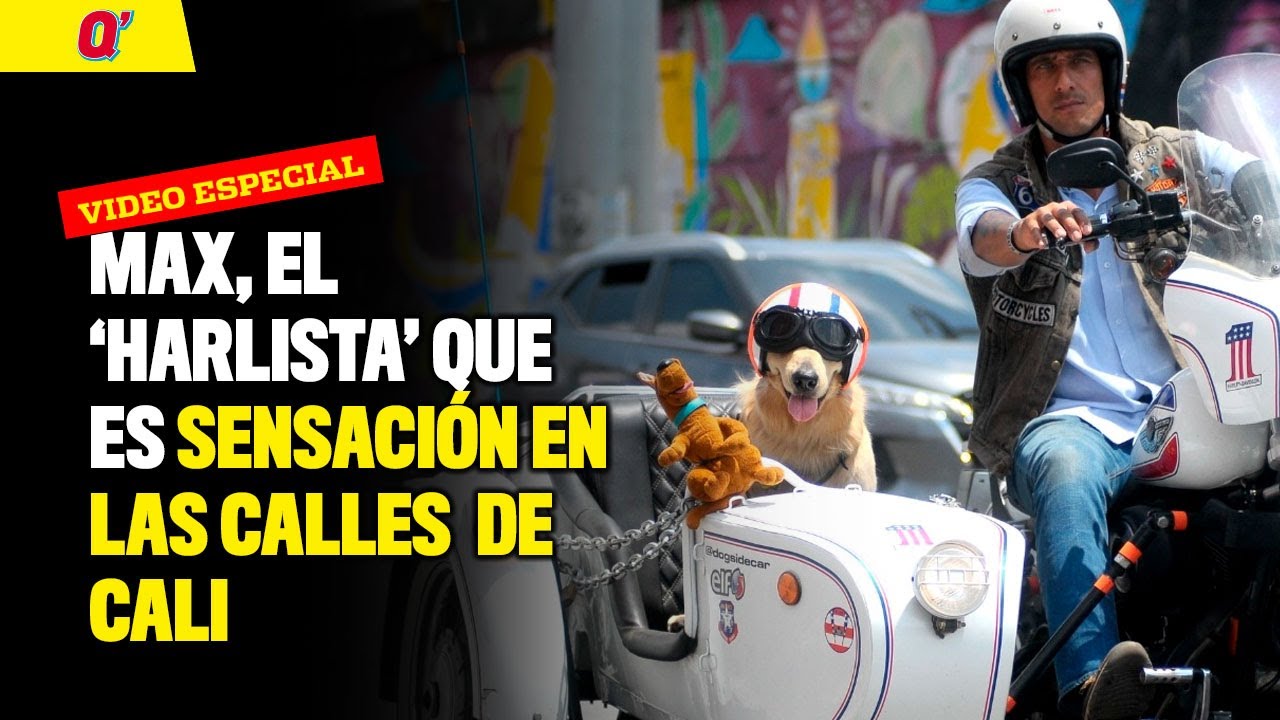 Max, el 'harlista' que es sensación en las calles de Cali | Qhubo Cali ...