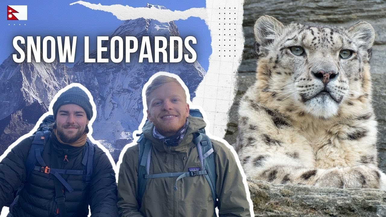 Searching for Snow Leopards in Nepal! | CHAPTER 1 - Wildlife Adventures ...
