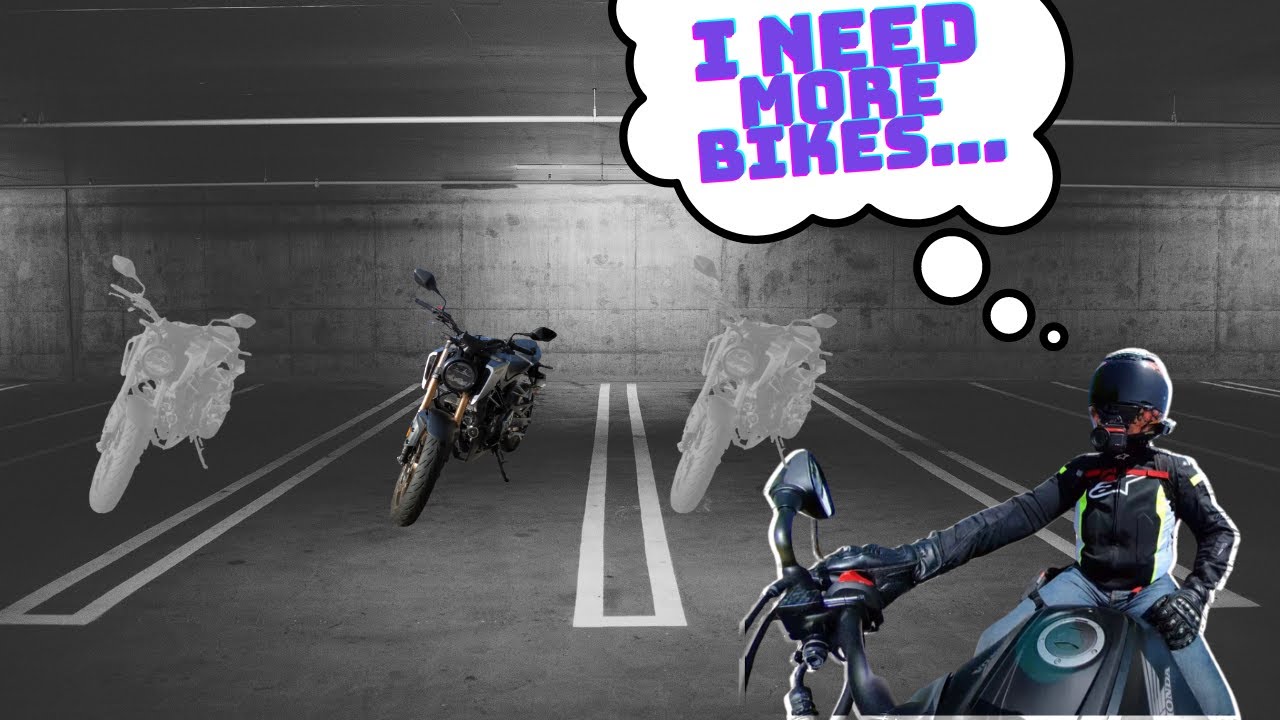 How many Bikes should you own?! At least one more! - YouTube