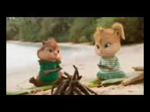 Instagram ucun super videolar