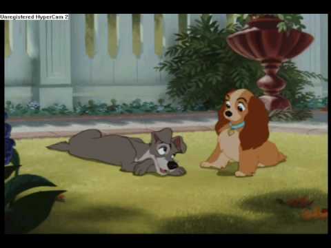 Lady and the Tramp- All is love
