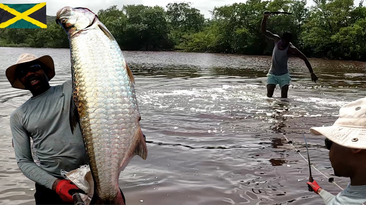 Machete Fishing for Giants in Jamaica - YouTube