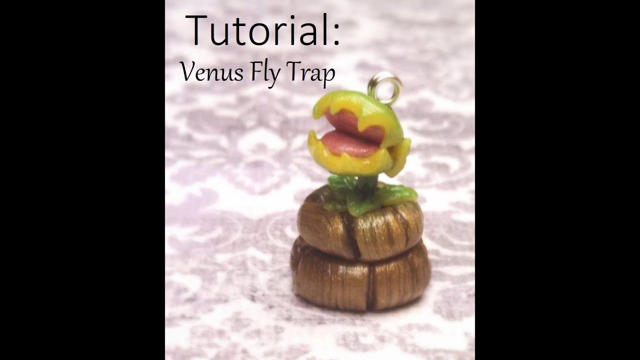 Polymer Clay Tutorial: Venus Fly Trap - YouTube