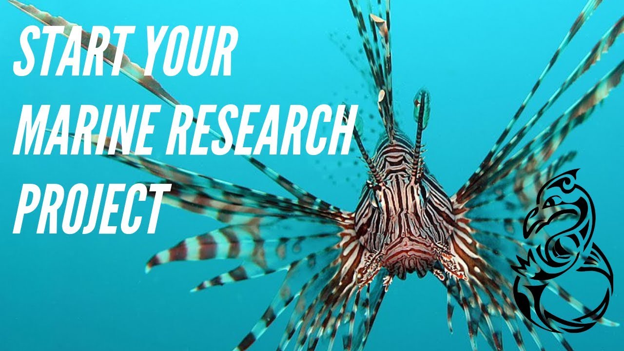 How to run Marine Science Projects Pt. 1 - Marine biology and ...