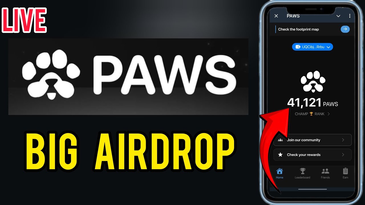 LIVE🔴 Paws Big Airdrop Start | Paws Token All Information | Binance ...