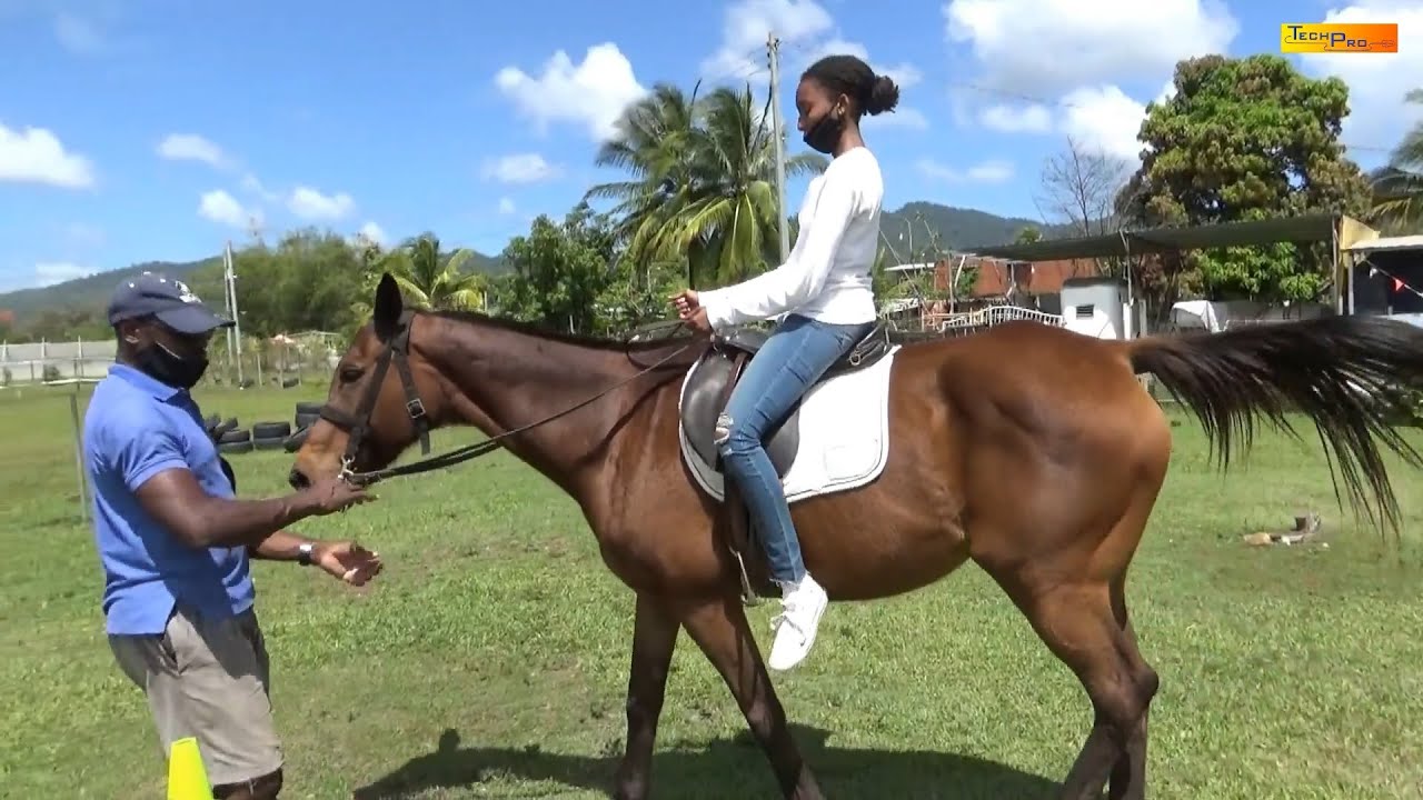 Horse Back Riding In Trinidad - YouTube