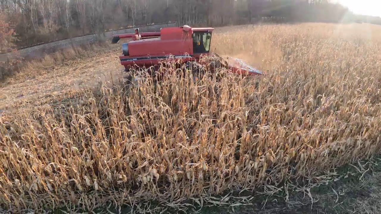 My Type of Farming - Train Tracks - Solid Classic Running Combine ...