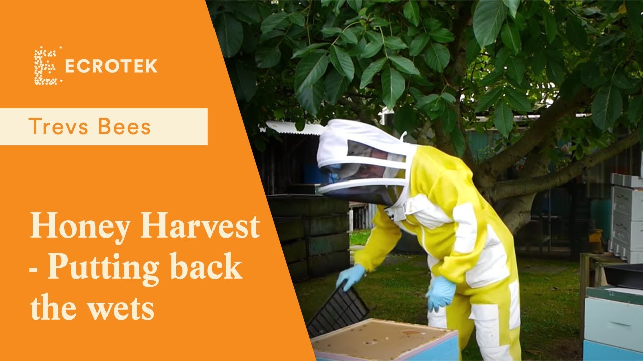 Trevs Bees - Honey Harvest - Putting back the wets - YouTube