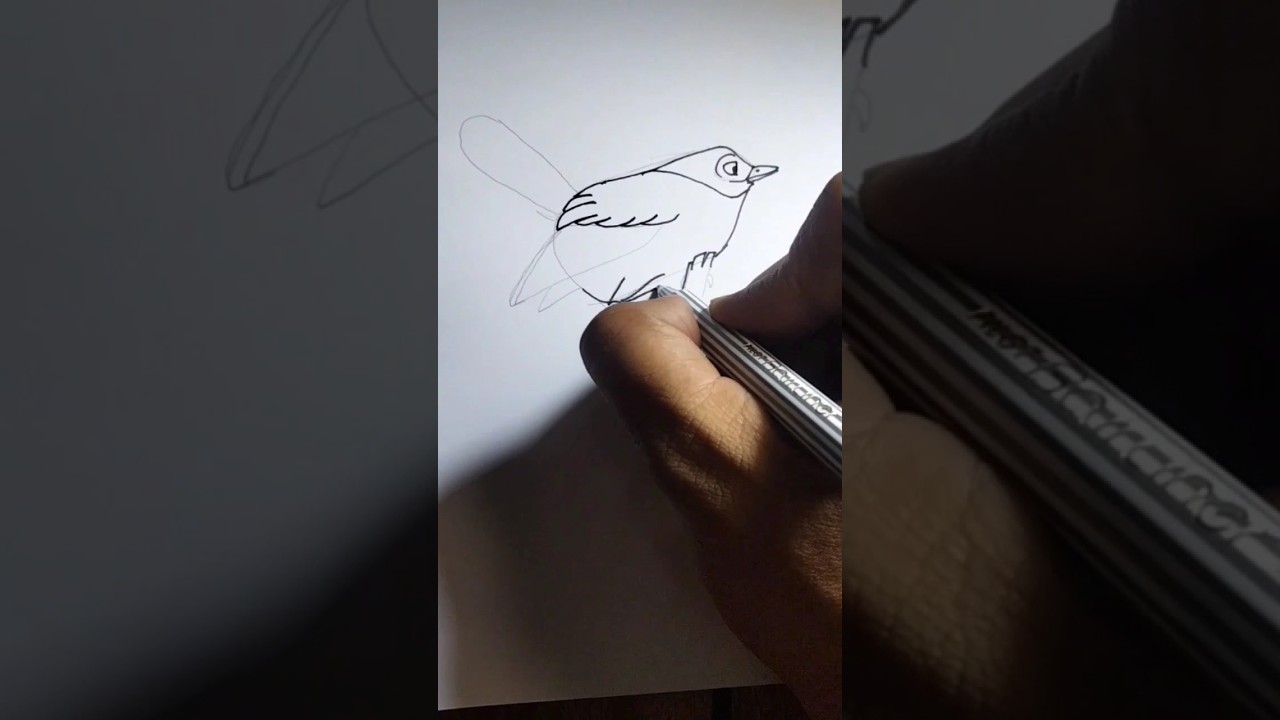 CARA MENGGAMBAR BURUNG HINGGAP DI RANTING #caramenggambar #burung # ...