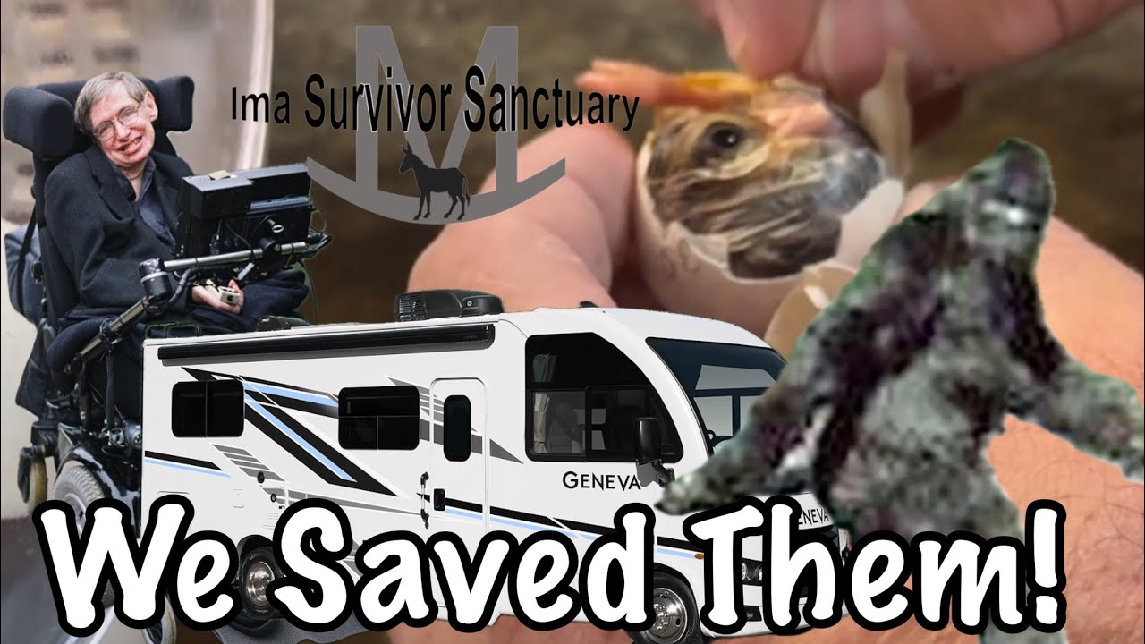 A chick named BigFoot and RV! - YouTube