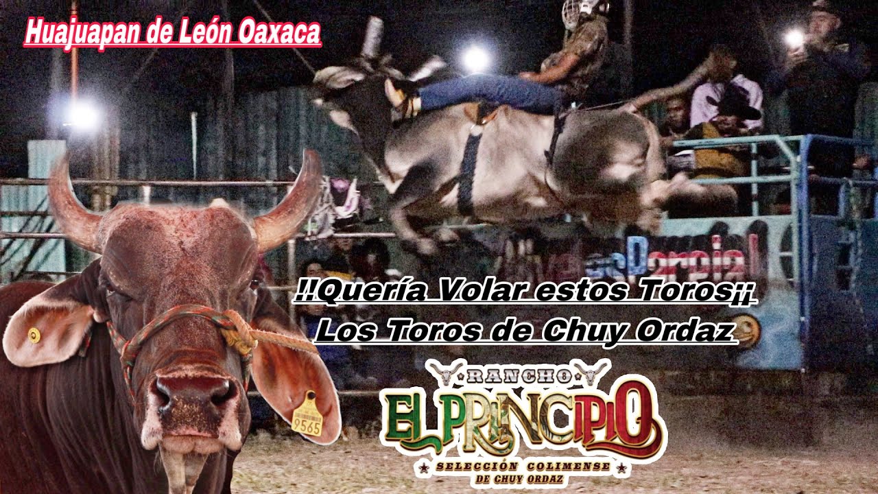 RANCHO EL PRINCIPIO DE CHUY ORDAZ EN HUAJUAPAN DE LEON OAXACA,2022 ...