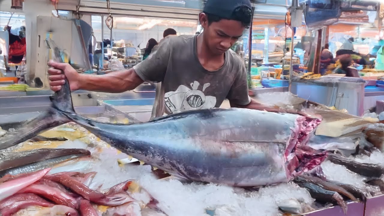 PERFECT FISH CUTTER || MIND-BLOWING TUNA FISH Cutting Techniques - YouTube