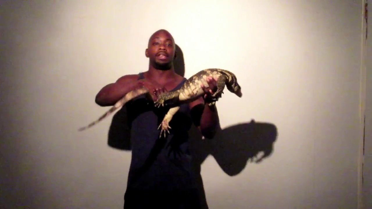 WATER MONITOR CARE INFO AND UPDATE PART1 - YouTube