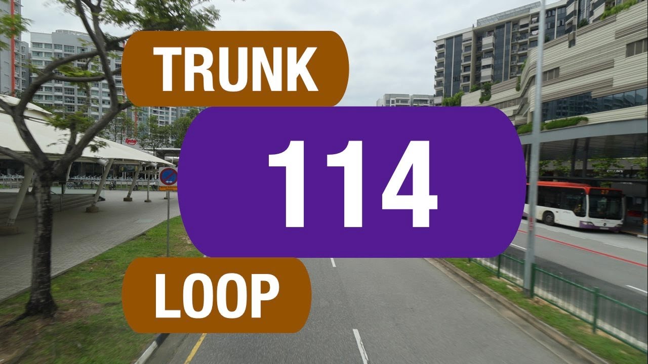 SBS Transit Trunk 114 | Bus Service Route Visual - YouTube