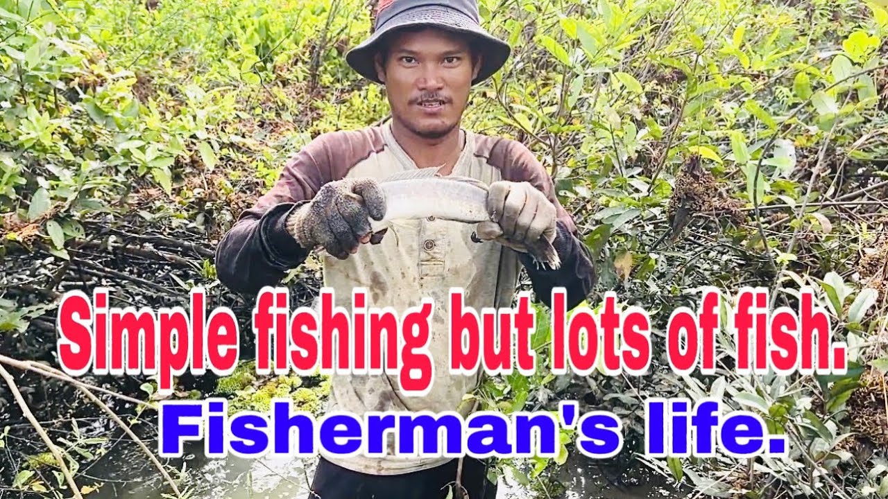 Simple fishing but lots of fish /Fisherman's life/ I show you share ...
