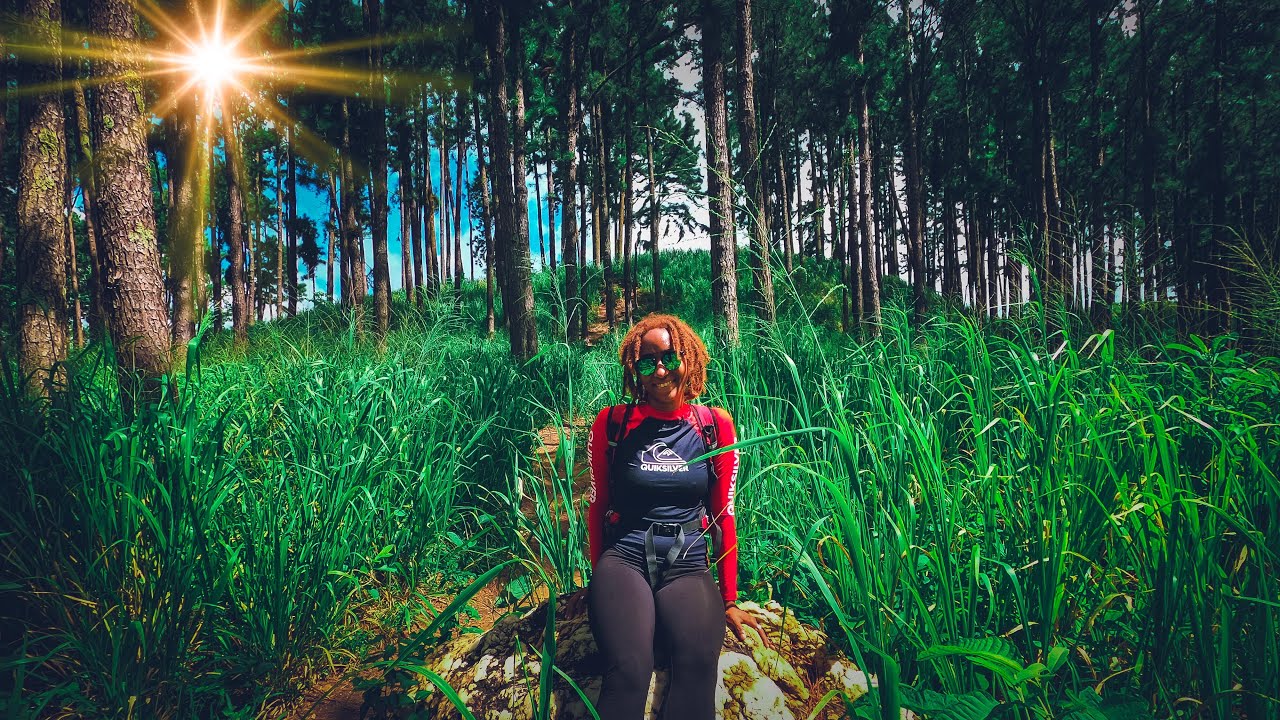 MT. ST. BENEDICT PINES HIKE!!! SO PEACEFULL UP HERE!!!!! - YouTube