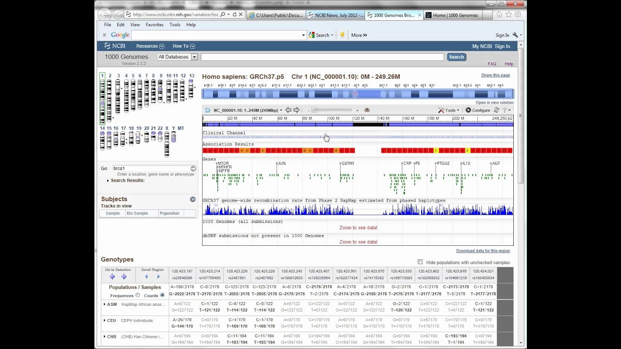 Video Tip of the Week: 1000 Genomes Dataset Browser from NCBI - YouTube