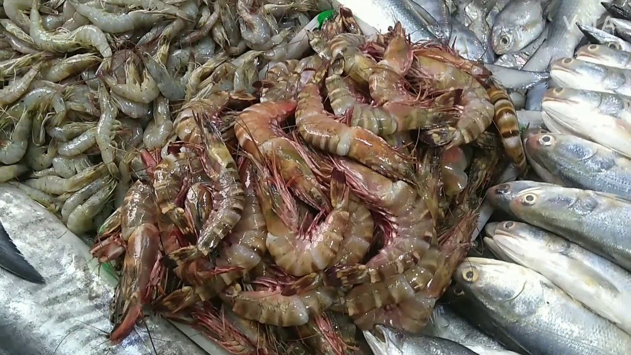 Saidapet 🐟 Fish Market - YouTube