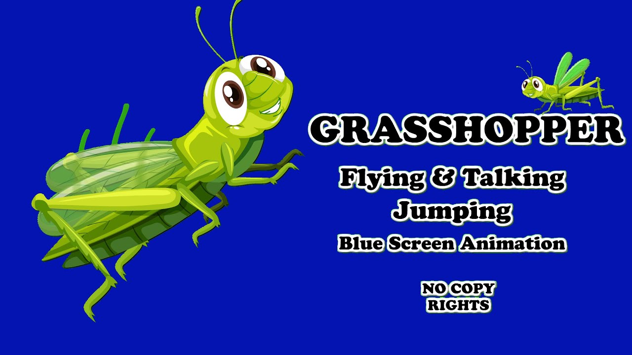 Grasshopper Blue Screen Animation #grasshopper# ...