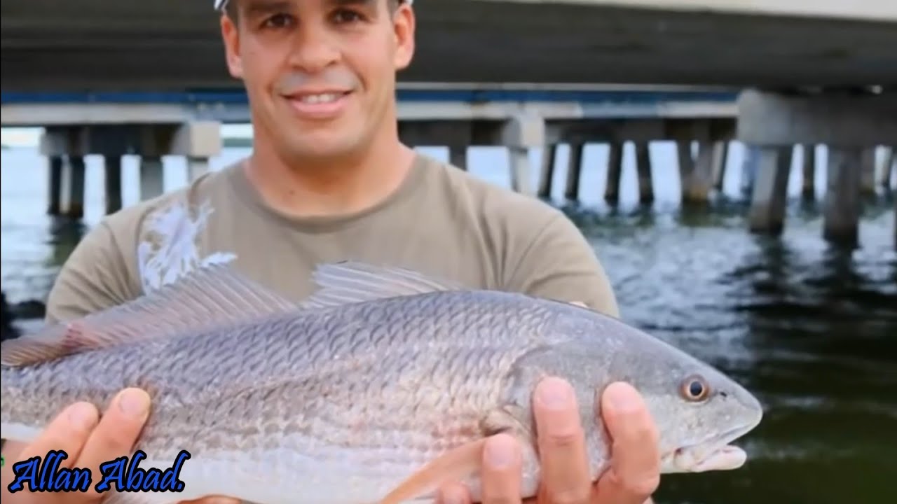 ESTE PUENTE SIEMPRE DA BUENOS PESCES CUANDO PESCAS CON CARNADA VIVA ...