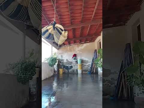  Mini Vlog: Minha Rotina da Manhã até o Meio-Dia 💛