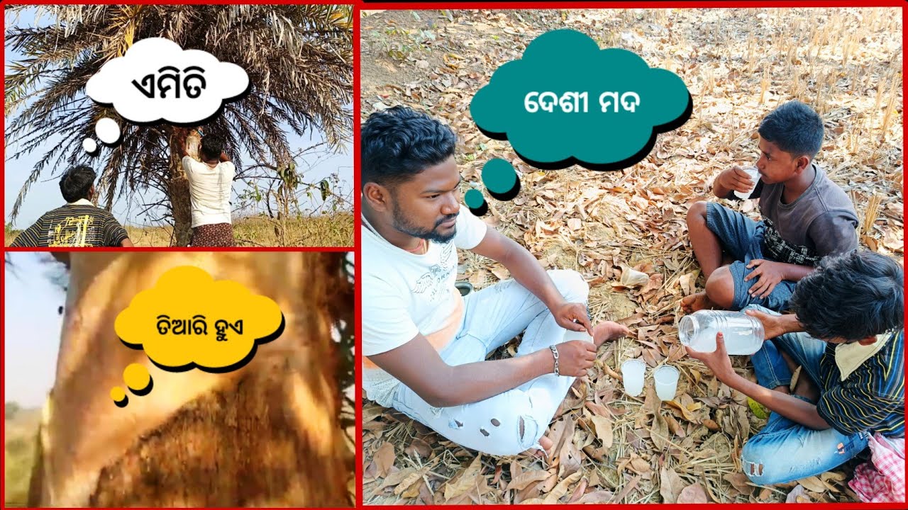 ଆଜି ଆମେ ବନେଇକି ପିଇଲୁ ଦେଶୀ ମଦ || Village Khajur Tadi #Youtube Video ...