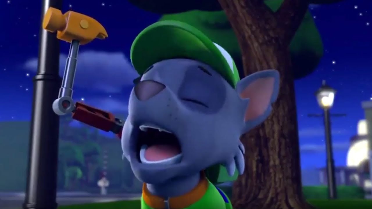 paw patrol best scenes cartoon for children #19 - YouTube