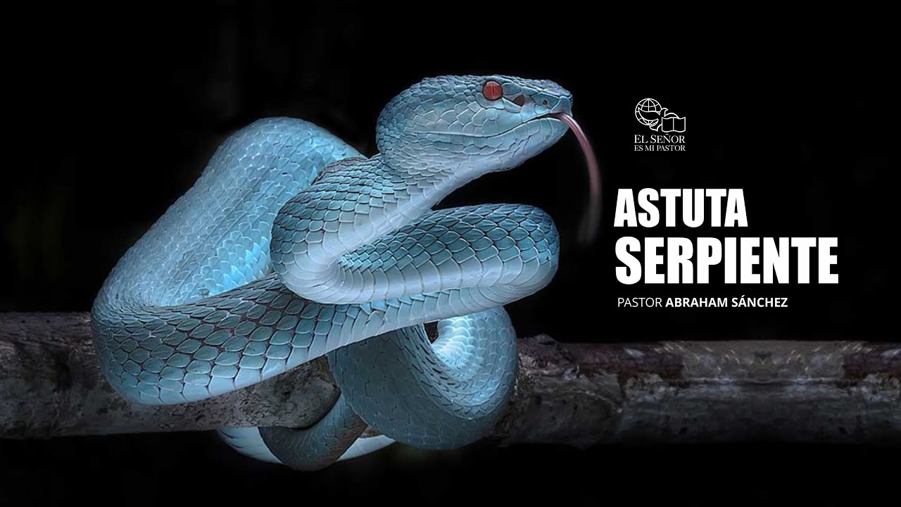 Pastor Abraham Sánchez - Astuta serpiente - YouTube
