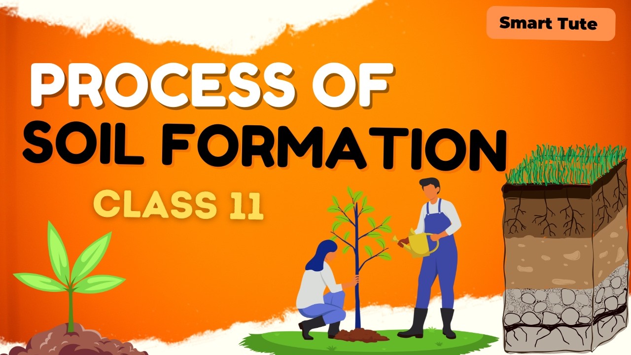 Process of Soil Formation - Geomorphic Processes | Class 11 Geography ...