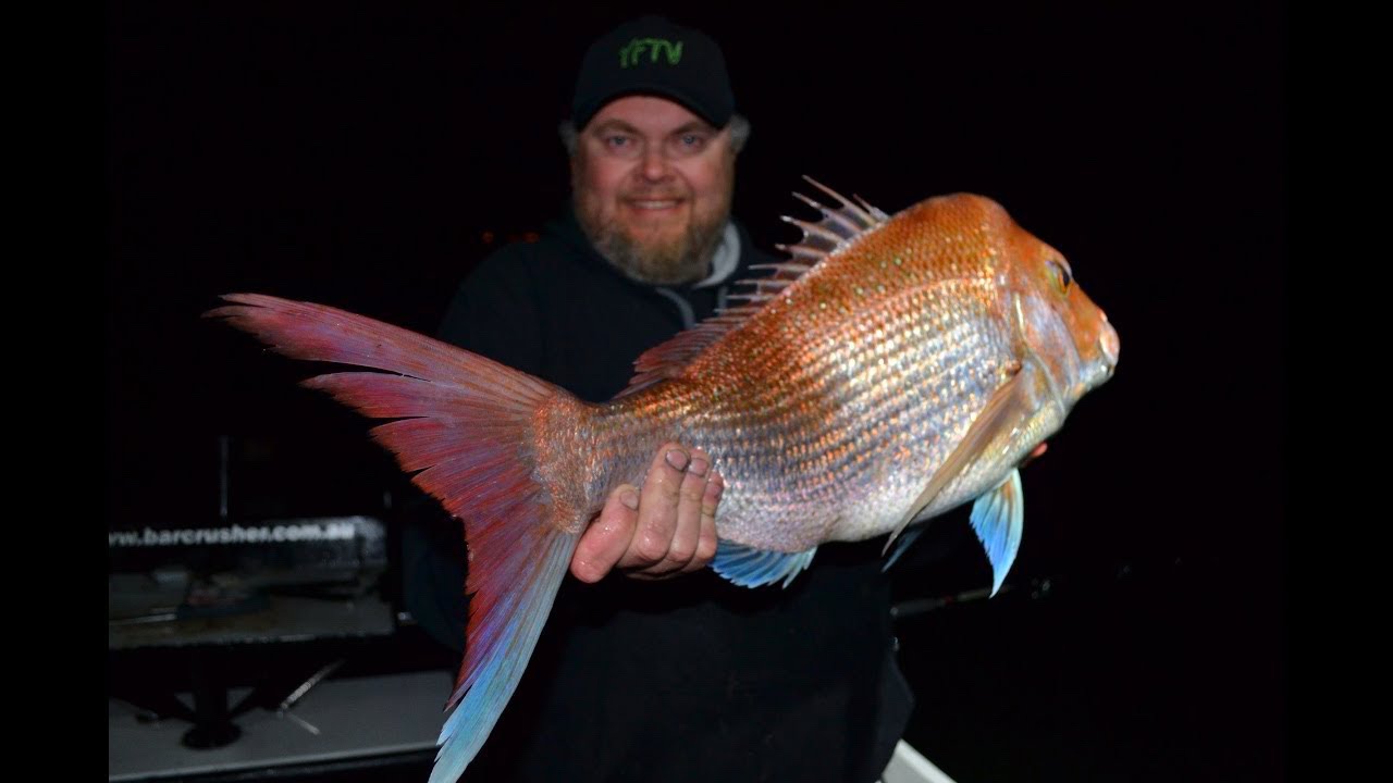 MEGA SNAPPER ON DELICIOUS BAIT - YouFishTV - YouTube