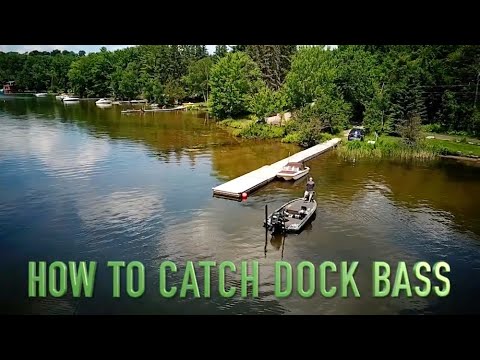 HOW TO CATCH DOCK BASS- Tips & Tactics for more largemouth on docks ...