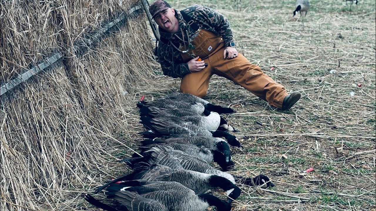 SHOOTING CANADA GEESE FROM A 24’ A FRAME - YouTube